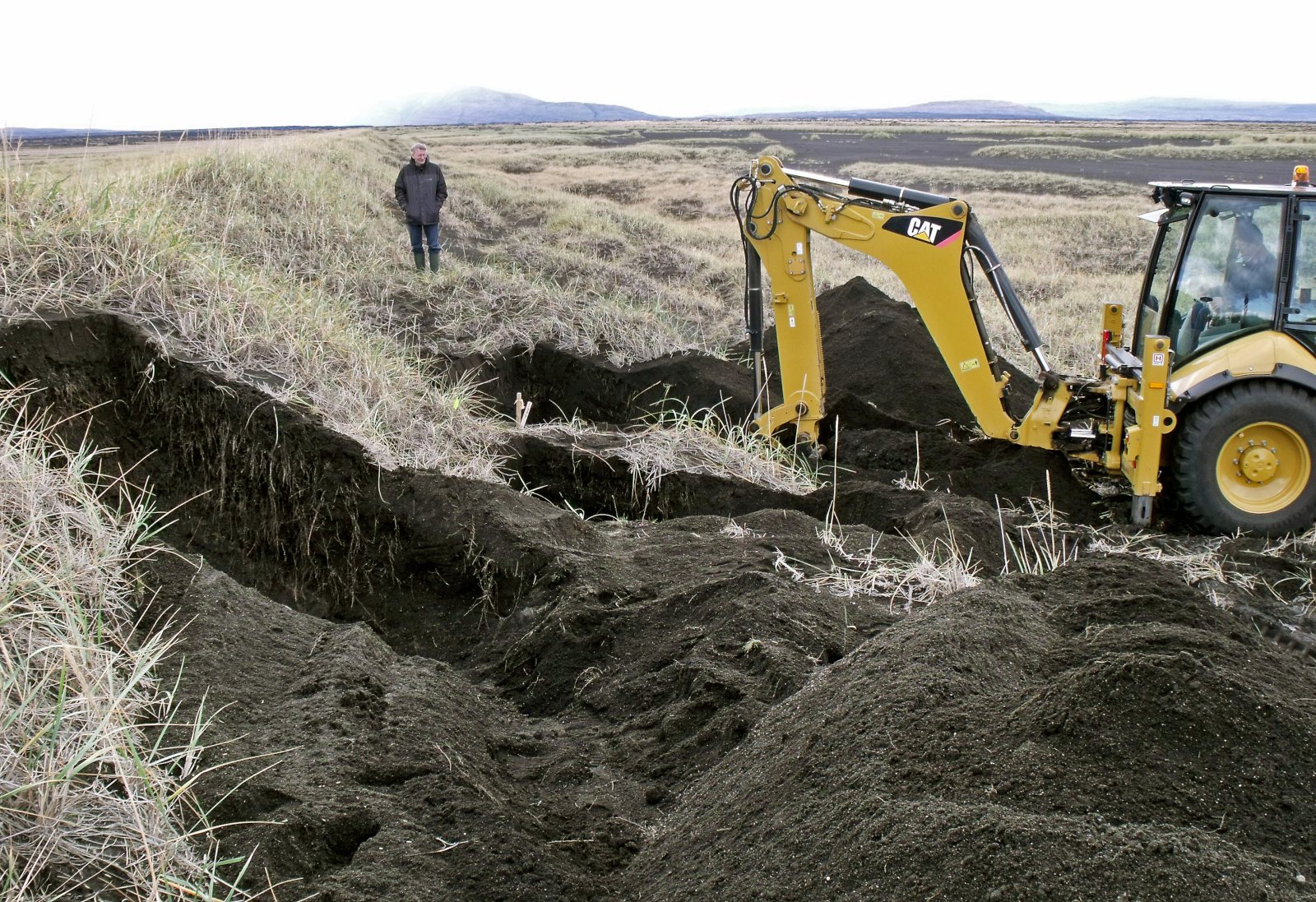 Melgresi bindur meira kolefni í jörð en ætlað var - Bændablaðið