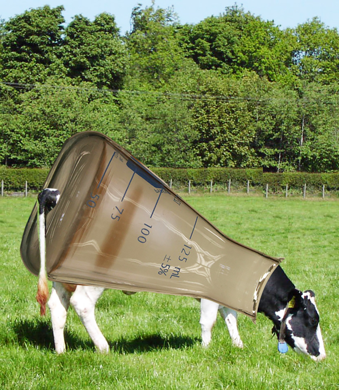 Kjöt ræktað í tilraunaglösum - Bændablaðið